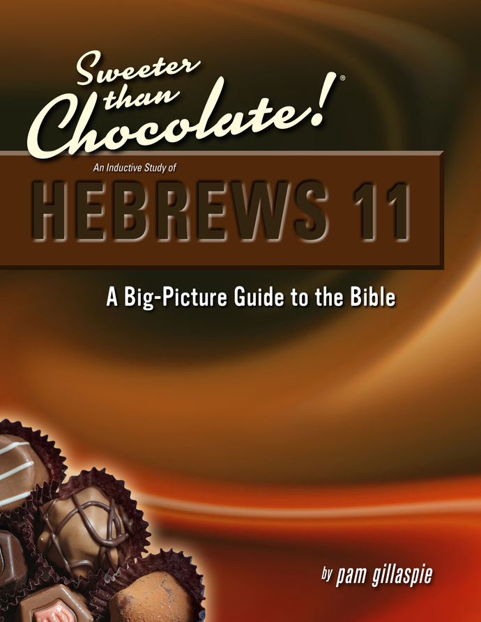 Big Picture Guide to the Bible - Hebrews 11 – PamGillaspieShop